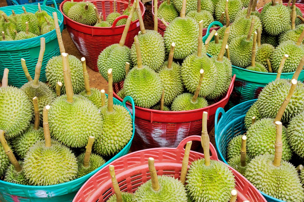 Durian : le fruit empoisonné en Asie du Sud Est