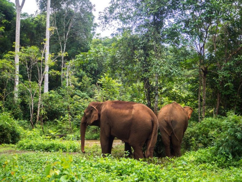 Sen Monorom: Visiter le Mondolkiri en 3 jours au Cambodge