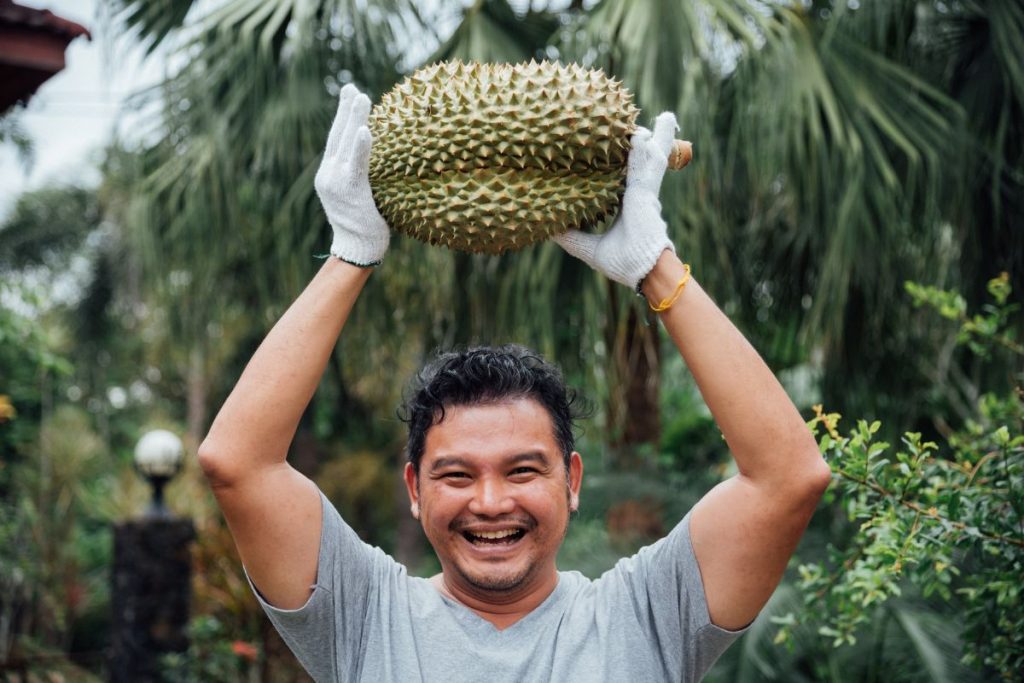 Durian : le fruit empoisonné en Asie du Sud Est