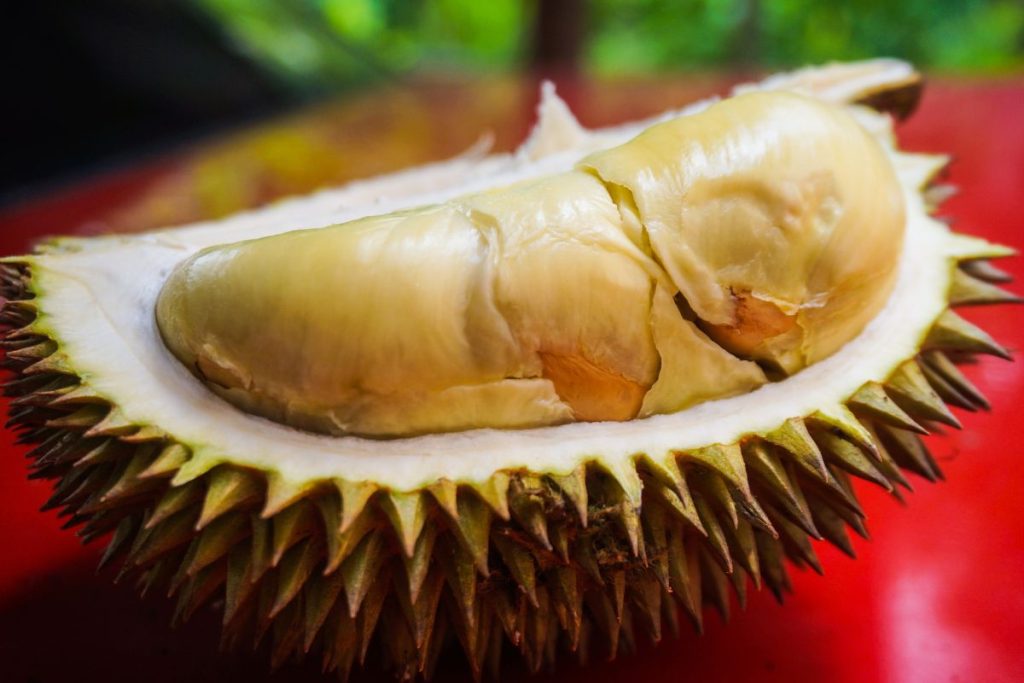 Durian : le fruit empoisonné en Asie du Sud Est