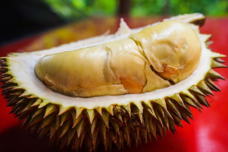Durian : le fruit empoisonné en Asie du Sud Est