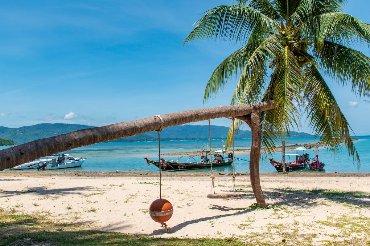 Découvrir Koh Tan : le joyau caché de la Thaïlande