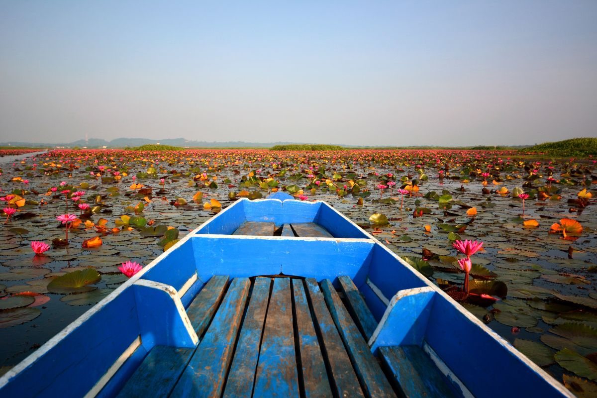 Découvrez les incontournables de Phatthalung : les meilleures attractions touristiques