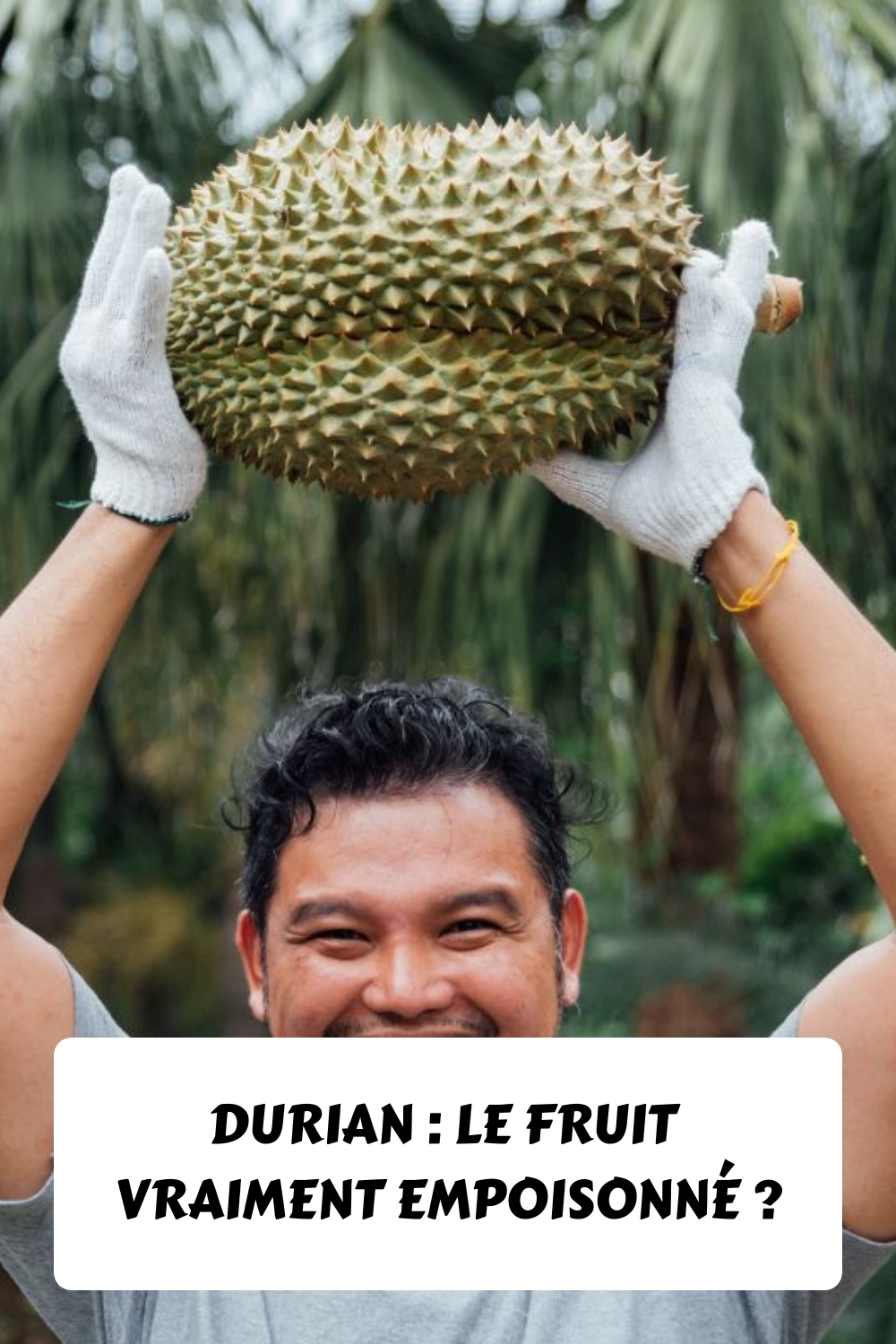 Durian : le fruit empoisonné en Asie du Sud Est