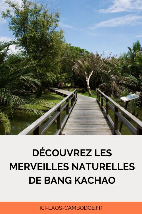 Découvrez les merveilles de la nature à Bang Kachao : un paradis ...
