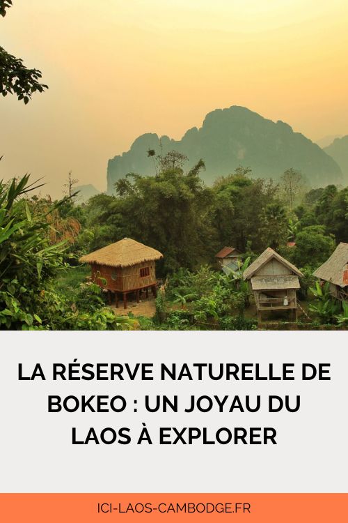 La Réserve Naturelle de Bokeo : un joyau du Laos à explore